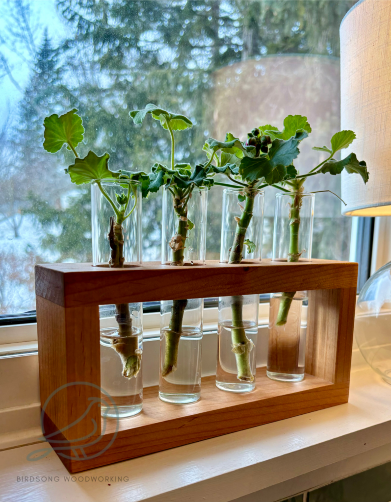 How to make a DIY plant propagation station - Birdsong Woodworking